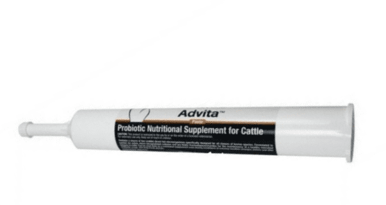 Advita Probiotic Paste for Cattle 300gm – ALLVET SUPPLY