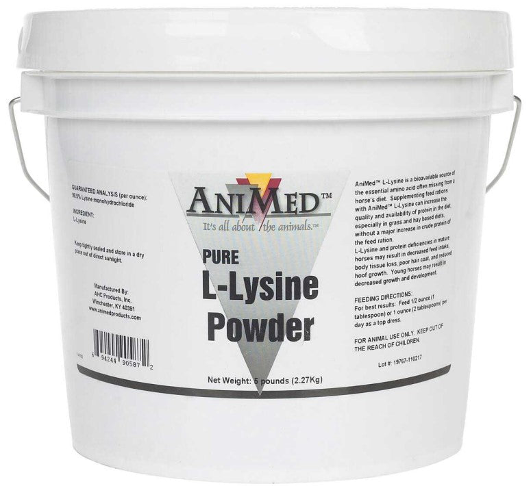 Pure L-Lysine Powder 5lb – ALLVET SUPPLY
